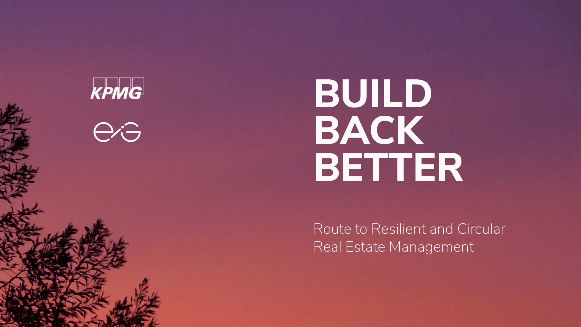 Build Back Better: circular shared value creation for Real Estate - Eco ...