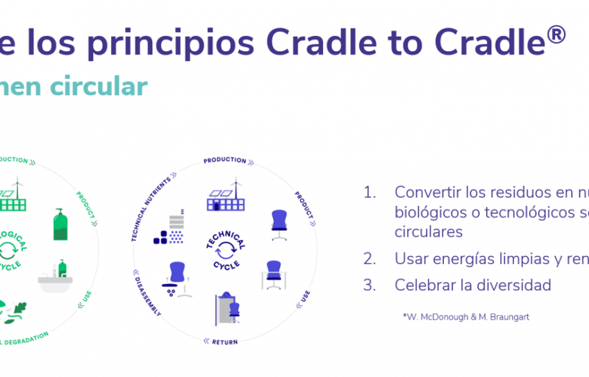 Principios C2C - Eco Intelligent Growth