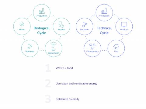 About us - Eco Intelligent Growth