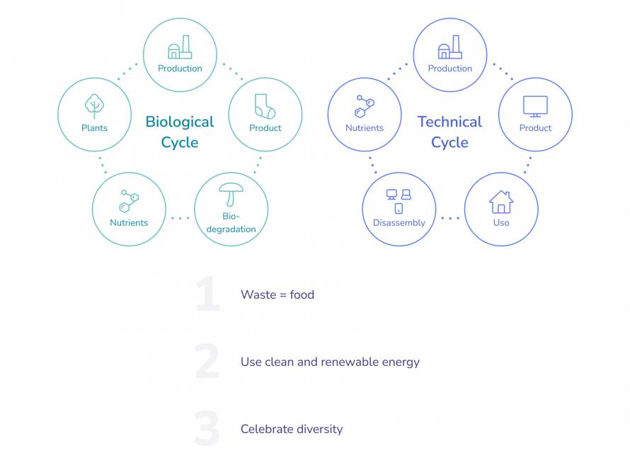 About us - Eco Intelligent Growth