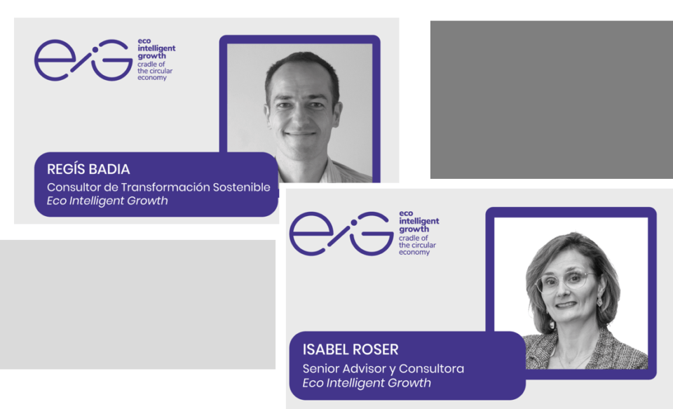 Eco Intelligent Growth Strengthens the Corporate Sustainable ...