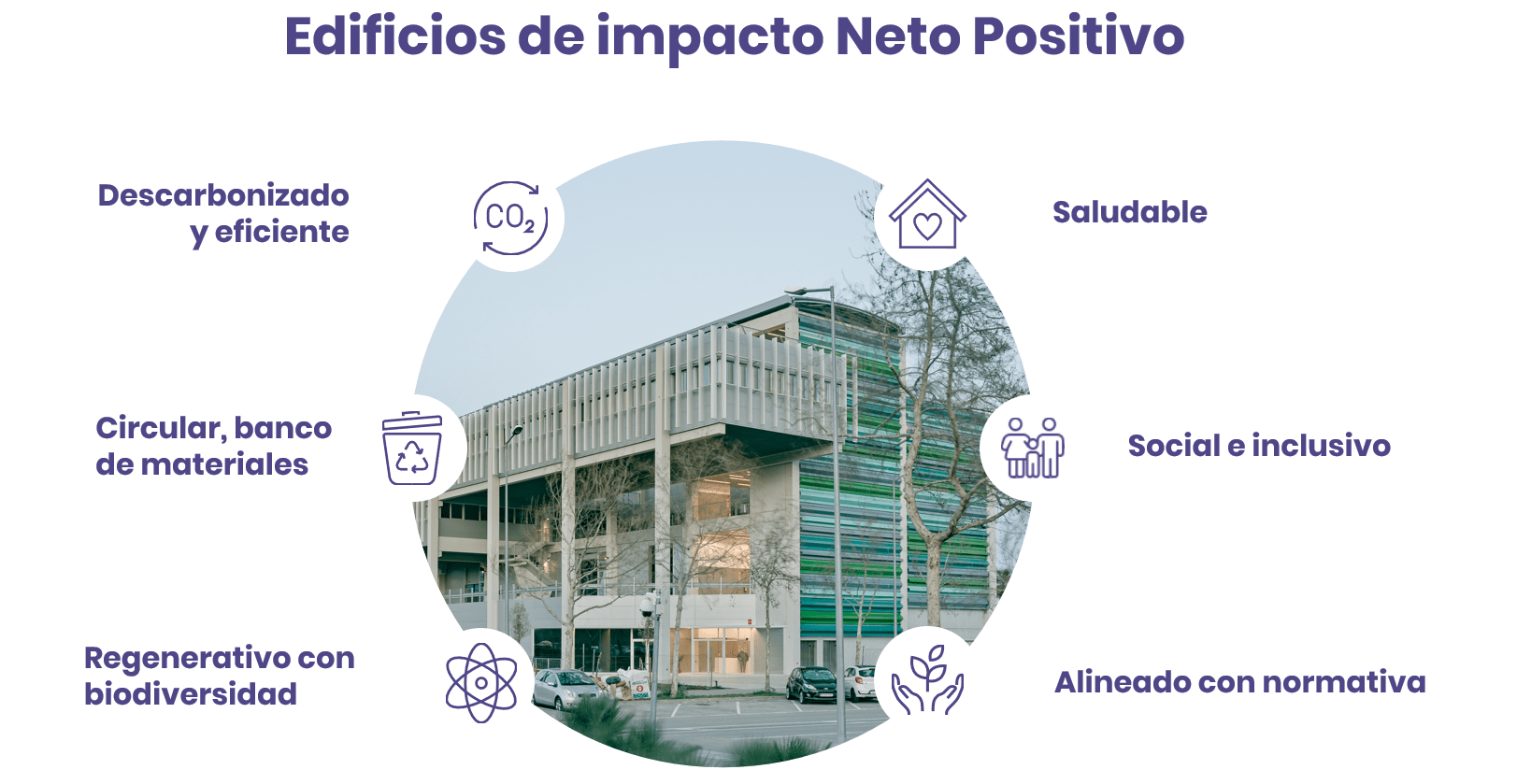imagen (5) - Eco Intelligent Growth